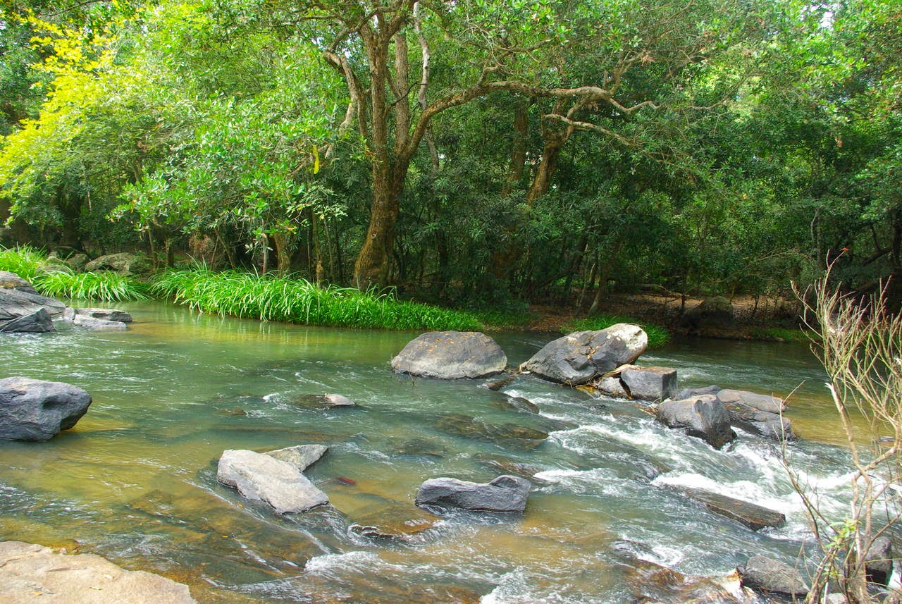 District Focus: Coorg, Karnataka | India 360